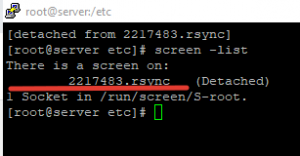 Использование утилиты screen в Linux | Windows для системных ...