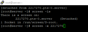 Использование утилиты screen в Linux | Windows для системных ...