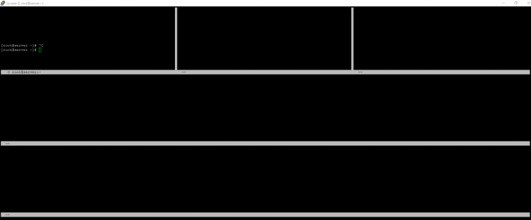 Использование утилиты screen в Linux | Windows для системных ...